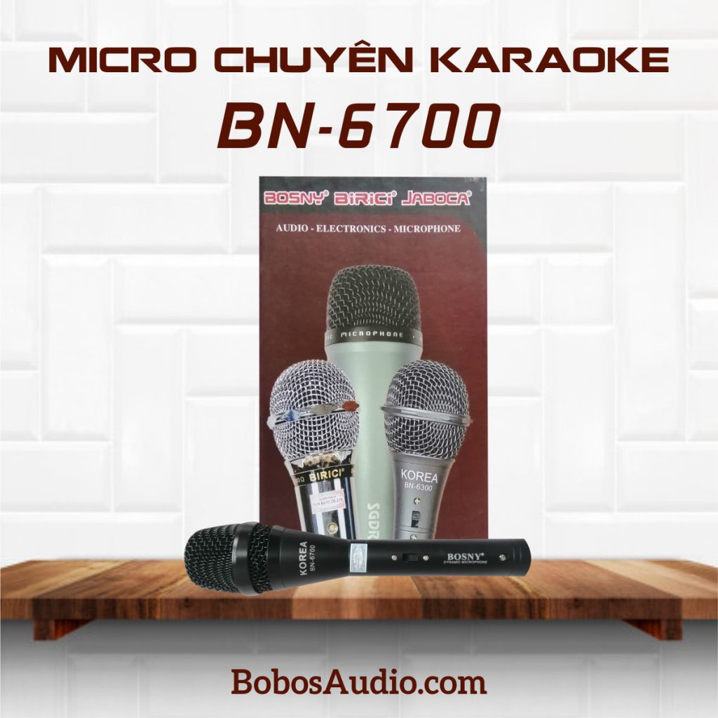 (BN-6700) MICRO CÓ DÂY BIRICI BN-6700 – BobosAudio.com